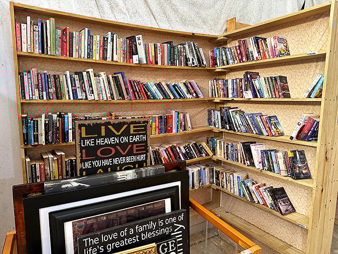 A bibliophile's dream corner where dog-eared paperbacks and hardcover classics create the perfect low-tech escape from Florida's afternoon heat.