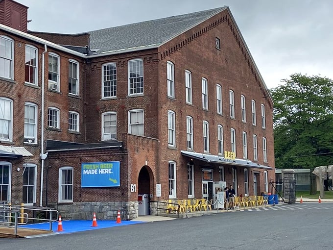 Former mill buildings find new purpose in Adams, where industrial architecture meets modern innovation—history recycled rather than forgotten.