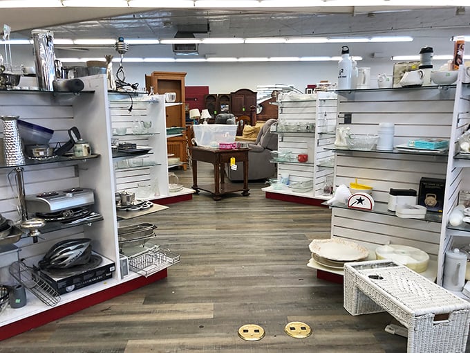 The housewares section—organized with military precision. These shelves hold everything from practical kitchenware to conversation-starting curios.
