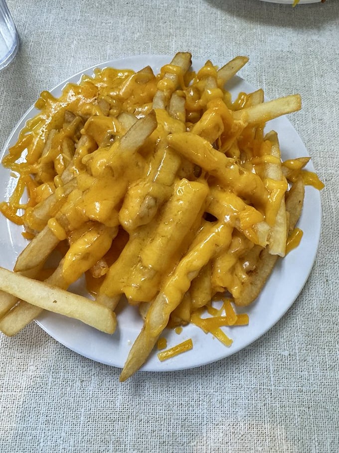 Cheese fries that would make a cardiologist wince but your taste buds sing. Golden, crispy potatoes wearing a melty yellow jacket of pure joy.