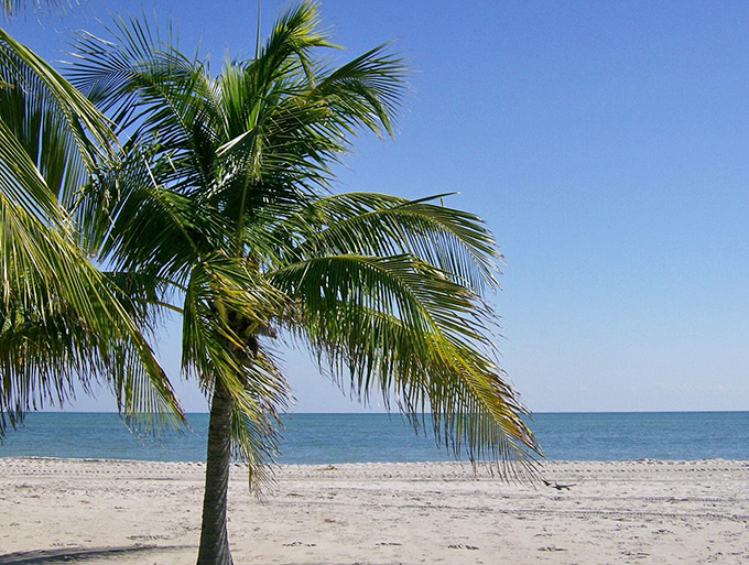 Palm fronds frame a beach so perfect it looks Photoshopped – except the sand between your toes confirms it's gloriously real.