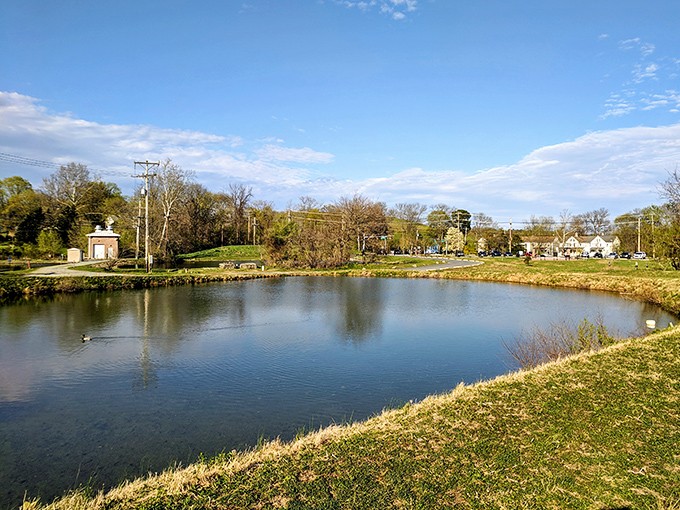 Curtis Mill Park's tranquil pond reflects more than just clouds—it mirrors Newark's commitment to preserving natural spaces within urban boundaries.