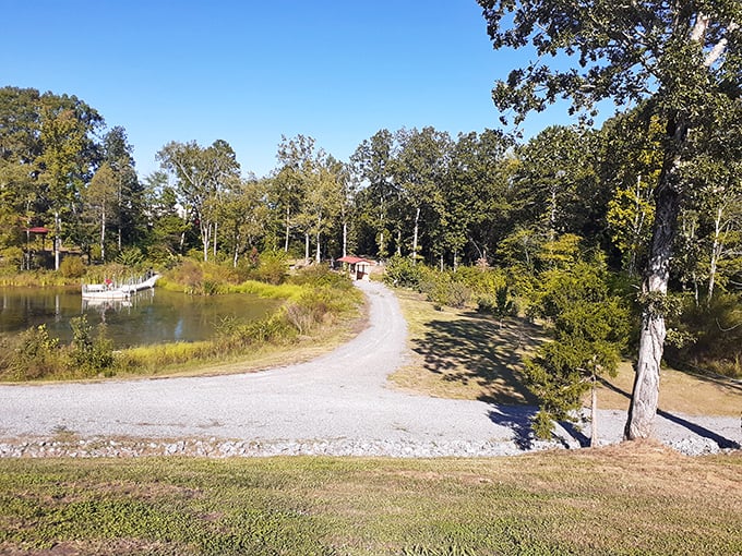 Denso Eco Park offers that quintessential Tennessee serenity – a winding path, still water, and enough trees to make your lungs remember what oxygen is supposed to taste like.