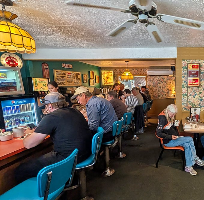 The counter at Fred's—where strangers become temporary neighbors, united by the universal language of "pass the ketchup" and appreciation for a good breakfast.
