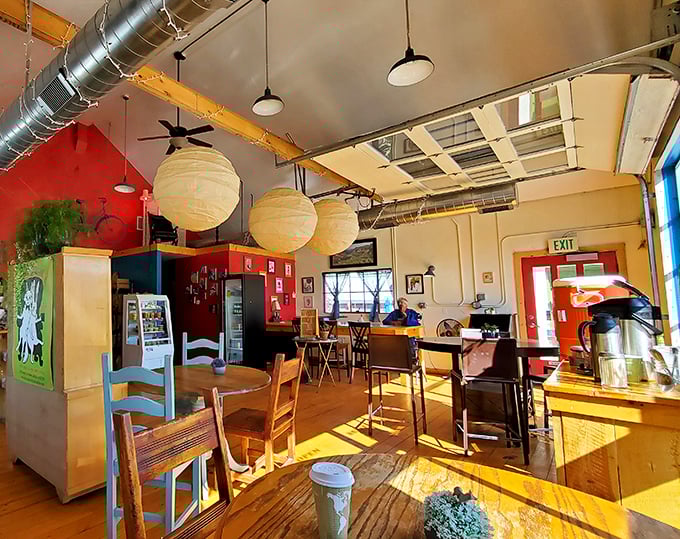Sunlight streams through windows onto wooden floors worn smooth by happy feet, creating the kind of glow Instagram filters try desperately to replicate.