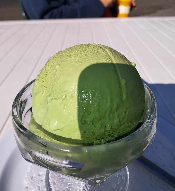 Green tea ice cream: sophisticated enough for adults, fun enough for kids, and the perfect excuse to call dessert "antioxidant therapy."
