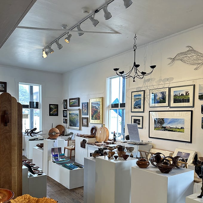 In Mendocino's art galleries, local creativity flows as naturally as the tides, showcasing treasures that won't fit in your carry-on but will haunt your memory.