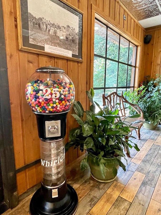 Vintage photos and a candy machine that's seen decades of eager quarters—this place doesn't manufacture nostalgia, it simply preserves it naturally.