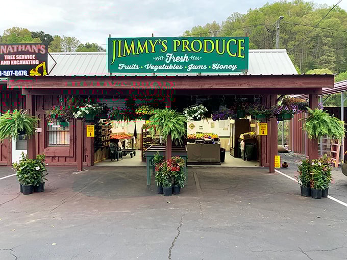 Jimmy's Produce stands as living proof that the best shopping experiences still involve dirt-dusted vegetables and actual human conversation.