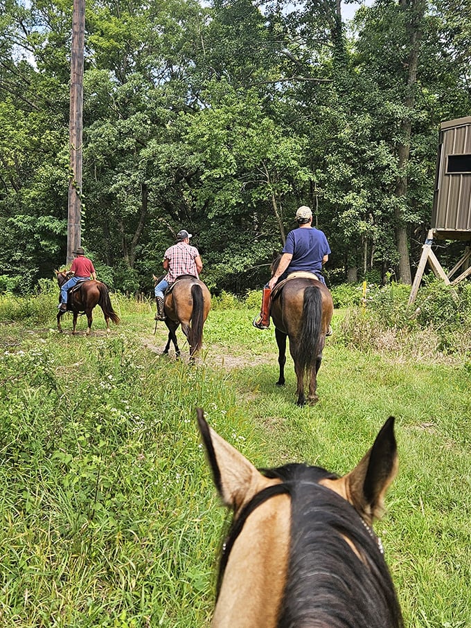 Horseback riding through Wisconsin's lush countryside—where "rush hour" means four horses on the trail instead of three.
