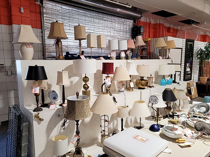 The lamp department shines bright with possibilities – from brass beauties to ceramic curiosities, all waiting for their second act.