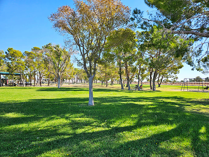 Leroy Jackson Park offers a surprising oasis of green in the desert landscape, where shade trees create welcome respite from the Mojave sun.