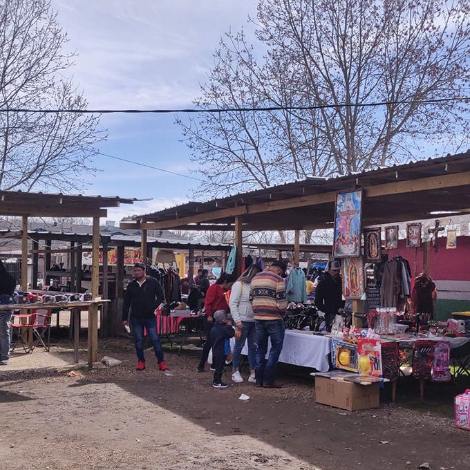 Local markets in Newport offer the original "subscription box"—fresh goods at prices that won't have you checking your bank balance afterward.