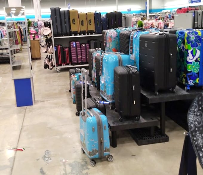 Luggage that makes you want to plan a trip just to use it – from practical black rollers to statement-making turquoise spinners.