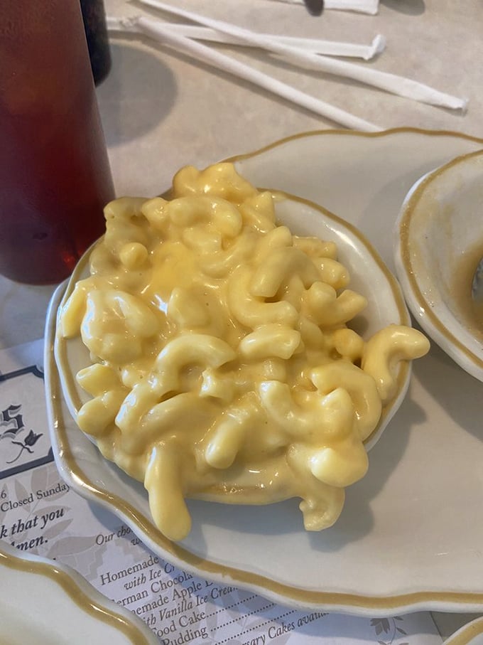 Mac and cheese that achieves the perfect sauce-to-pasta ratio—each elbow cradles just enough creamy goodness to make you forget about adulting.