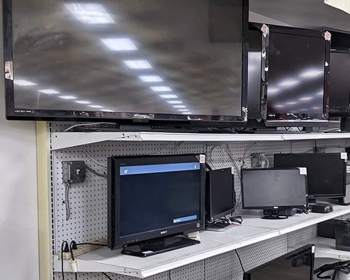 The electronics section: where yesterday's cutting-edge technology finds new purpose, like retired racehorses put out to digital pasture.