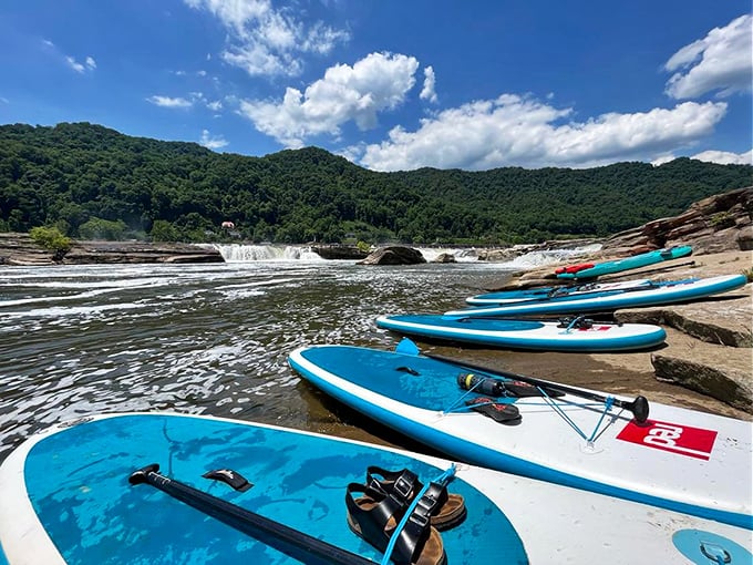 Paddleboards lined up like colorful soldiers ready for aquatic adventure – proof that flat water can deliver just as much excitement as rapids.