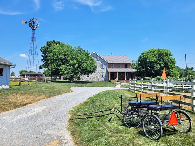 White picket fences, a classic farmhouse, and an iconic windmill – Old Windmill Farm embodies the storybook image of rural Pennsylvania.