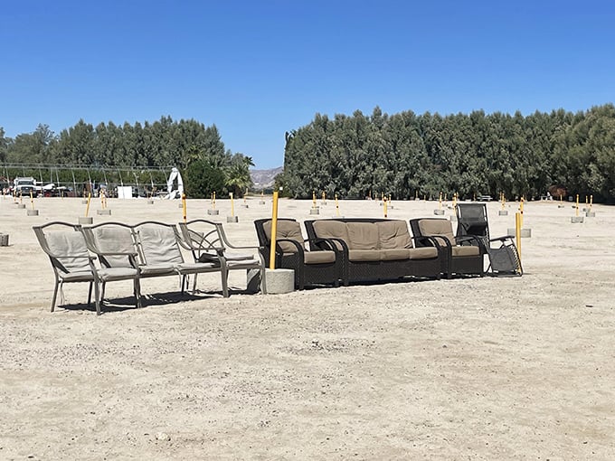 The desert's natural amphitheater—where lawn chairs and sofas create the world's most comfortable movie theater.