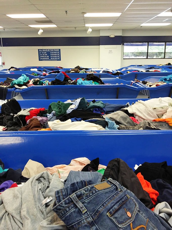 The thrill of discovery hangs in the air as shoppers scan row after row of blue bins—each containing potential Antiques Roadshow moments.
