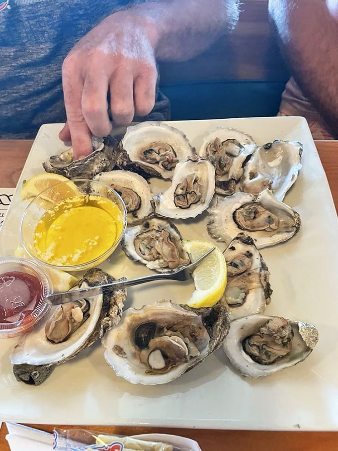 These oysters aren't just seafood; they're little cups of ocean perfection waiting for a squeeze of lemon and a moment of appreciation.