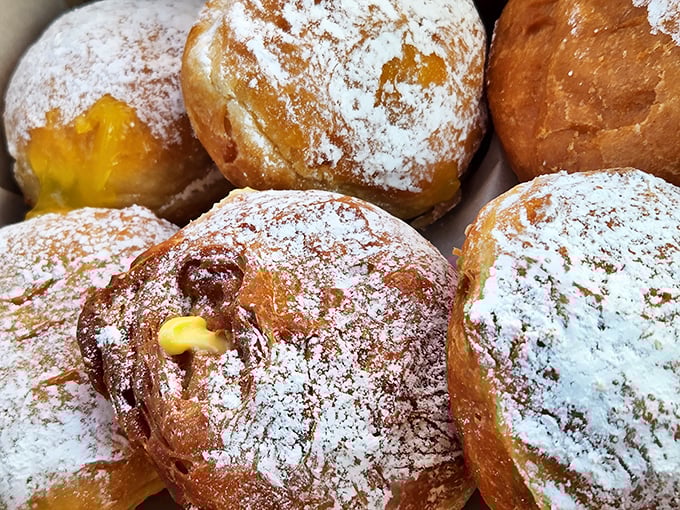 These powdered paczki with their sunny custard centers are like little edible sunshine. Polish tradition meets American sweet tooth in the most delightful collision.