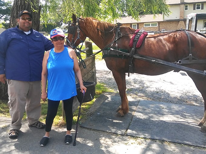 A beautiful chestnut horse patiently poses with visitors, probably thinking "I've carried thousands of tourists and still haven't seen Disney World."