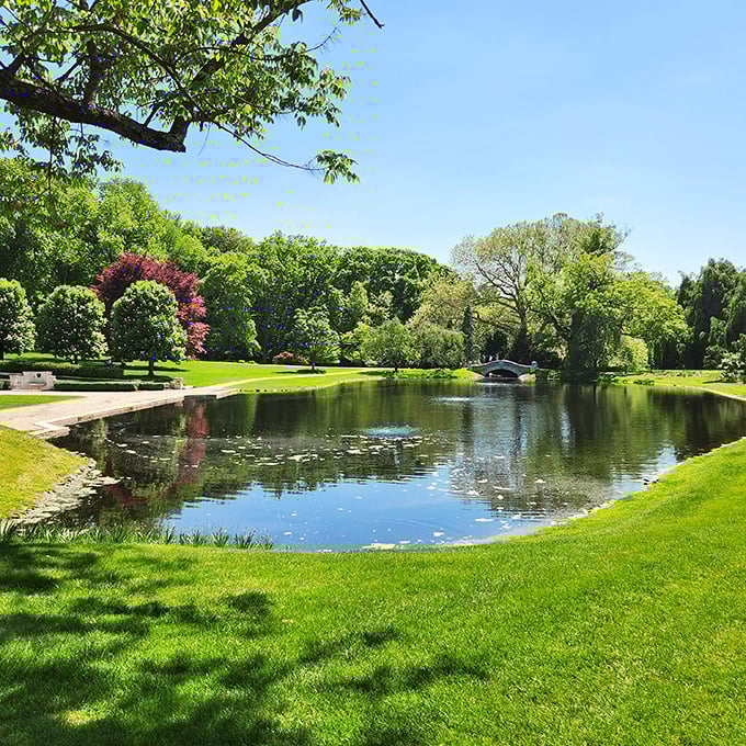 A reflecting pond doing exactly what it promised in the job interview—making everything around it twice as beautiful.