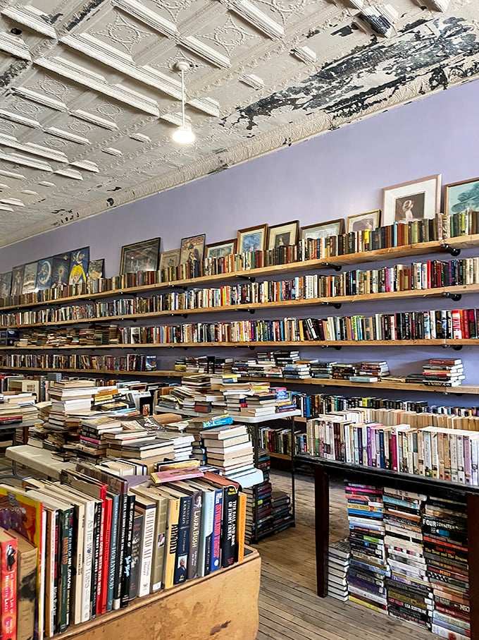 Pretty Good Books is actually pretty fantastic—a bibliophile's dream where ceiling-high shelves promise literary treasures at small-town prices.