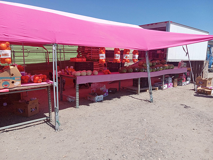 Under the pink canopy, a produce paradise awaits—where melons and mangoes bask in the Eastern Washington sunshine like sunbathers.