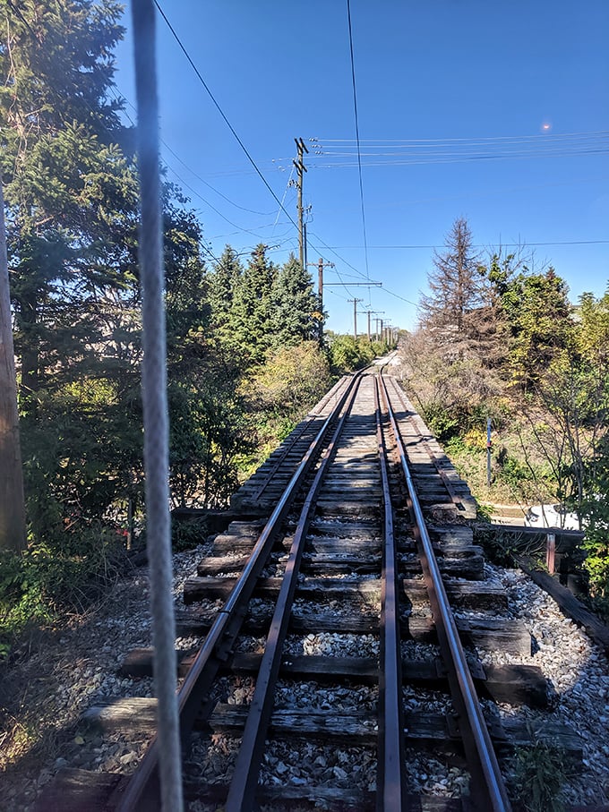 Rails stretching toward the horizon, a perfect metaphor for the journey through time the museum offers visitors.