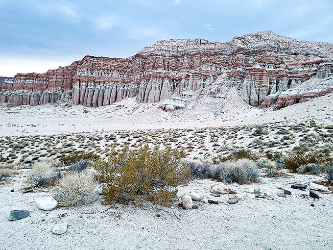Winter brings a dusting of snow to the red cliffs, like powdered sugar on nature's most impressive layer cake.