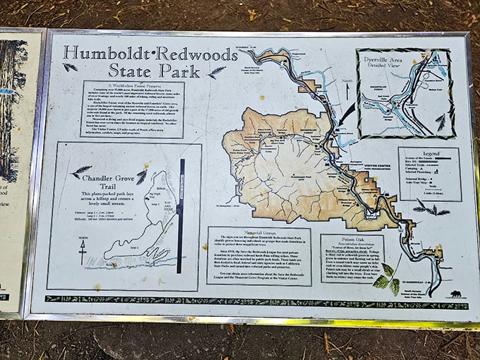 The choose-your-own-adventure guide to giants. This trail map is your passport to wandering among living skyscrapers.
