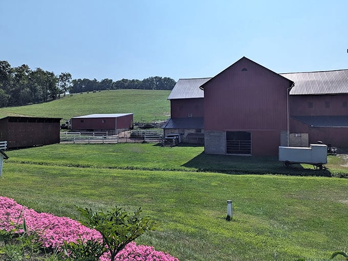 Barns, fields, and sky—the original three-color palette that somehow never goes out of style.