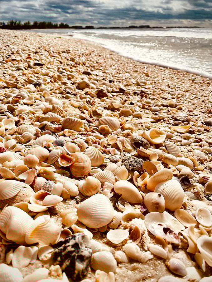 Shell collectors, prepare to lose your minds. Keewaydin's beaches offer a treasure hunt that would make any pirate jealous.