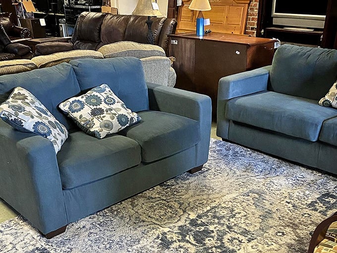 These blue sofas aren't just furniture—they're adoption opportunities. Give them a loving home and they'll support you for years.