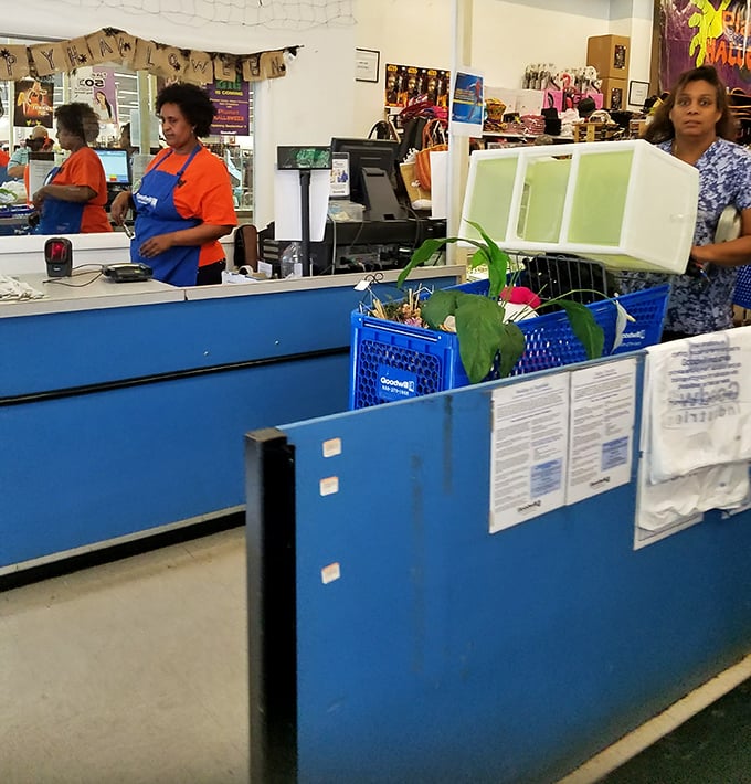 The unsung heroes of the thrift universe—staff who transform mountains of donations into this organized retail wonderland deserve a standing ovation.