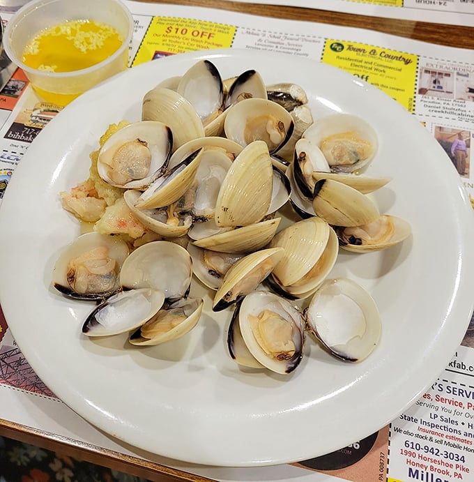 Fresh clams arranged like nature's jewelry box—oceanic treasures that somehow found their way to landlocked Pennsylvania, bringing coastal flavors to Amish country.