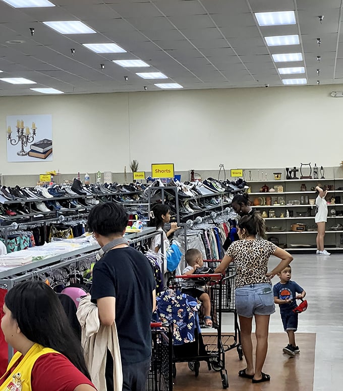 The weekend crowd navigates the aisles with practiced efficiency—note the strategic shopping carts and focused expressions of seasoned thrift warriors.
