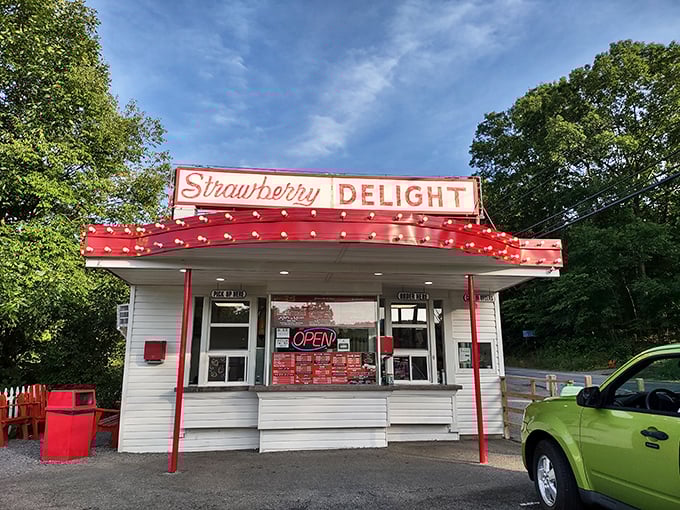 Strawberry Delight serves up nostalgia with a cherry on top—a roadside stand where summer memories are made one ice cream cone at a time.