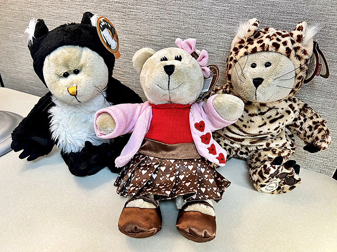 These plush companions are waiting for their second chance at love—the teddy bear in the middle is clearly the ringleader.