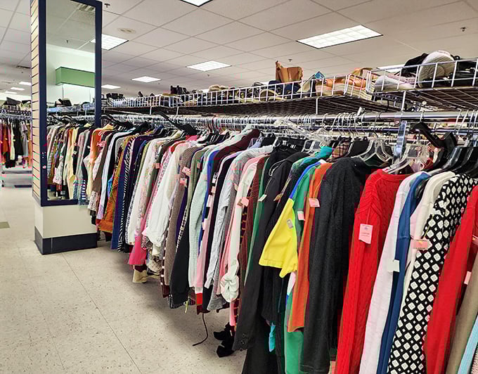 Sweatshirts and casual wear that prove comfort never goes out of style, just into rotation.