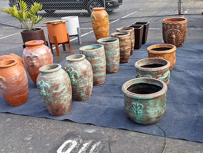 Terracotta dreams lined up like Mediterranean sentinels. These weathered pots promise to give your plants the stylish home they deserve.