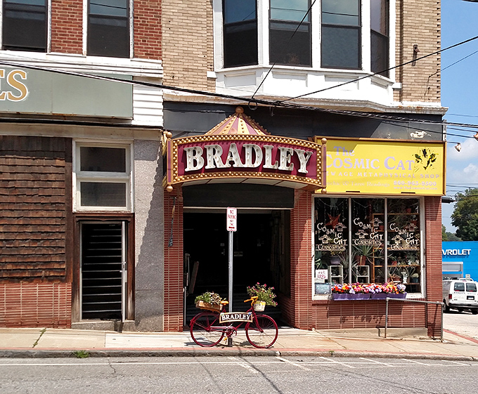The Bradley Playhouse marquee promises cultural enrichment that won't require a second mortgage—Broadway caliber shows at community theater prices.
