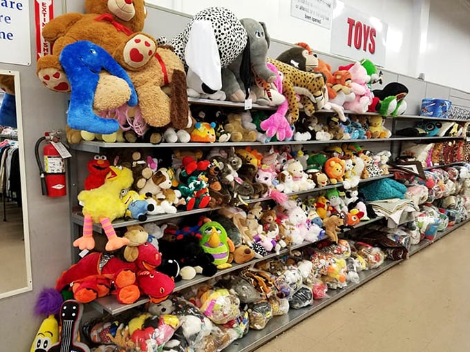 A plush toy paradise where forgotten teddy bears and stuffed animals wait hopefully for their second chance at being loved.