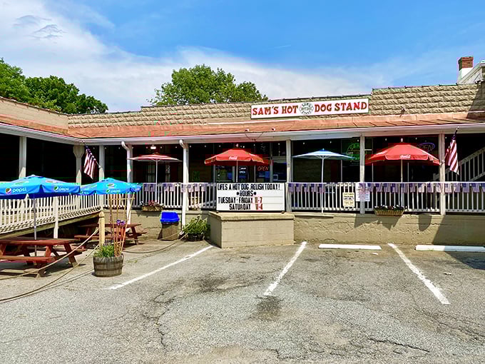 Casual dining spots invite you in with promises of satisfying food and the kind of service that remembers your order.