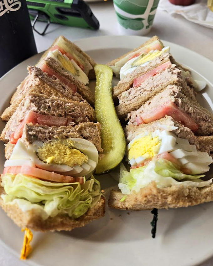 Architecture of deliciousness—this club sandwich stands tall with precise layers of freshness, proving that sometimes the classics need absolutely no improvement.