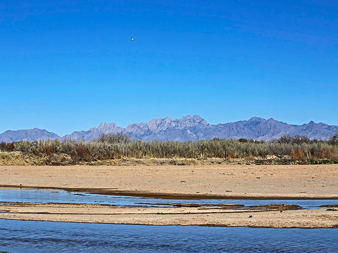 The jagged Organ Mountains provide nature's dramatic backdrop to Mesilla Valley, their peaks changing colors throughout the day like a geological mood ring.