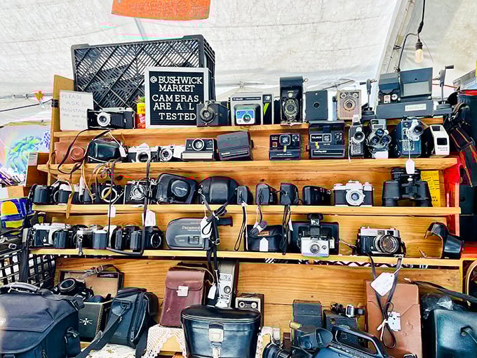 "Cameras are pre-tested" promises the sign, as decades of photographic history await new creative eyes and adventures.