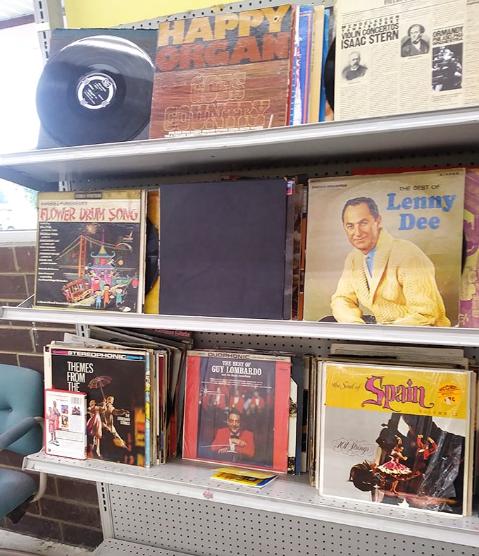 Vinyl enthusiasts, rejoice! From "Flower Drum Song" to Lenny Dee, these musical time capsules spin tales of decades past.
